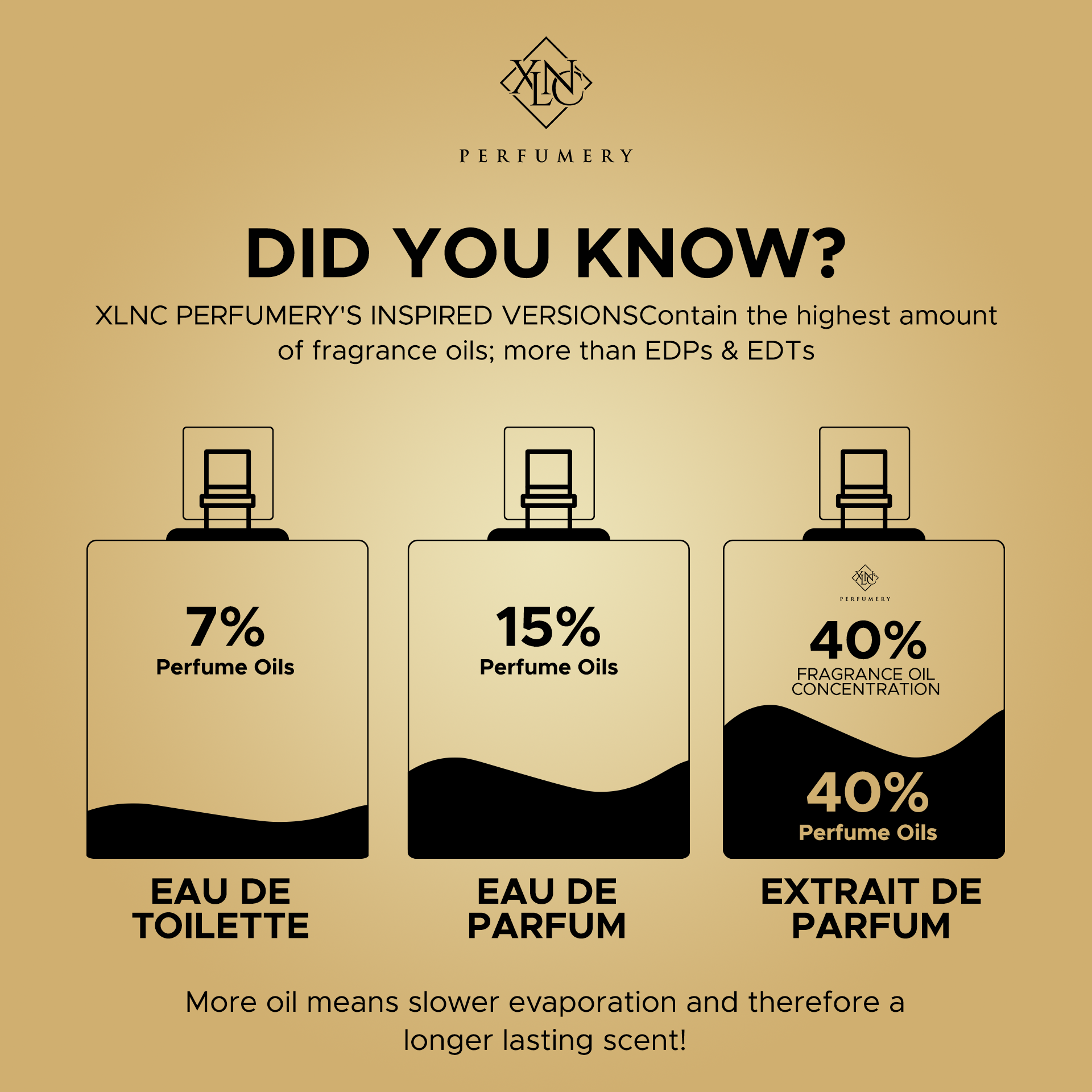 Ysl Y Edp Perfume: XP14 Inspired Perfume in India